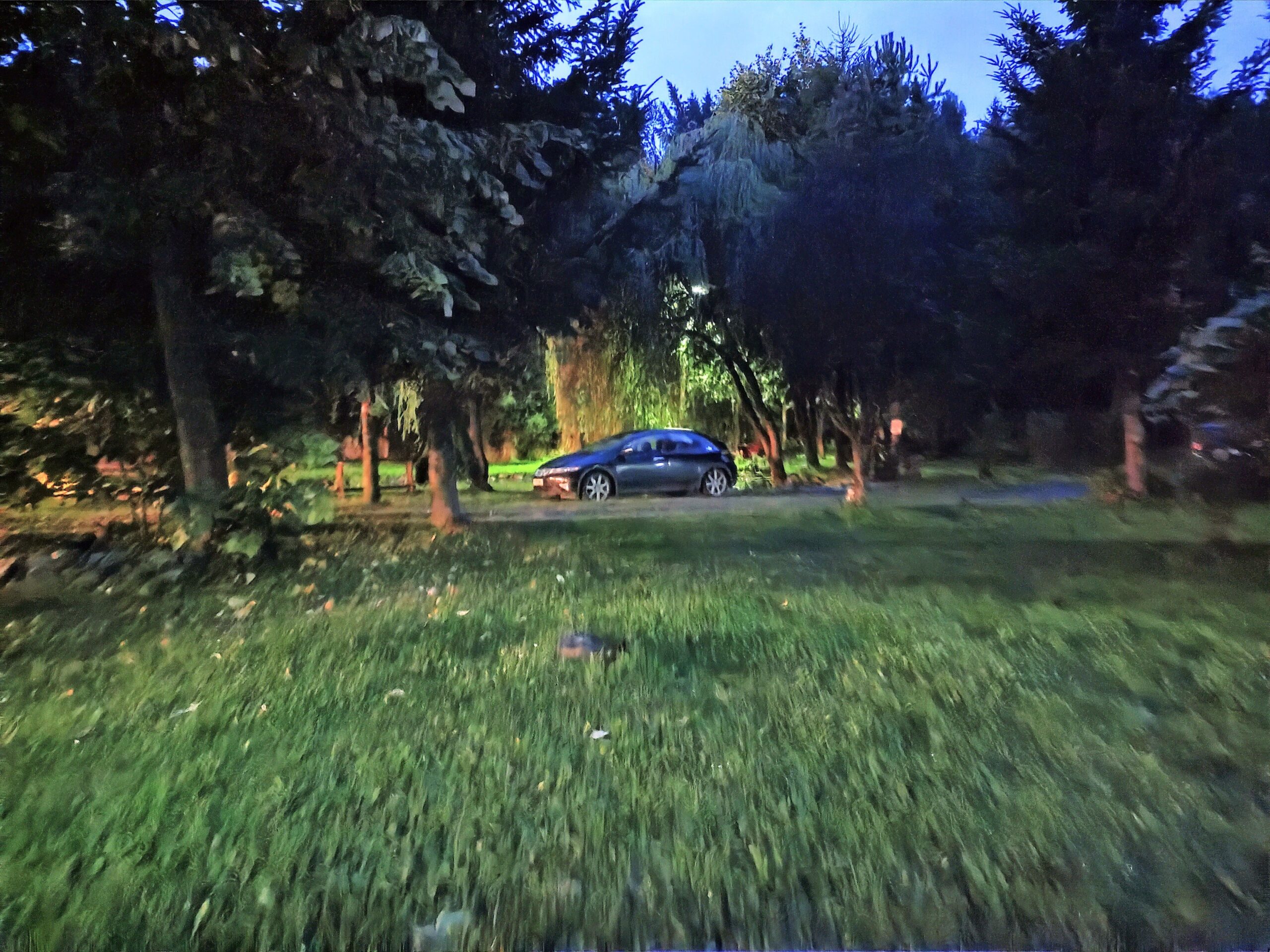 Cu Maze prin România - Forever Young
